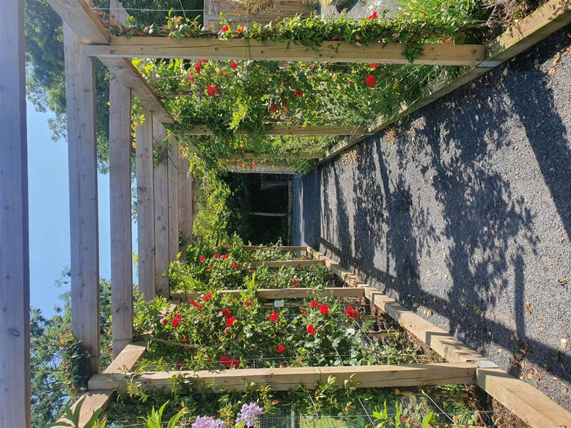 Clonfert Pet Farm | Great Visitor Experiences