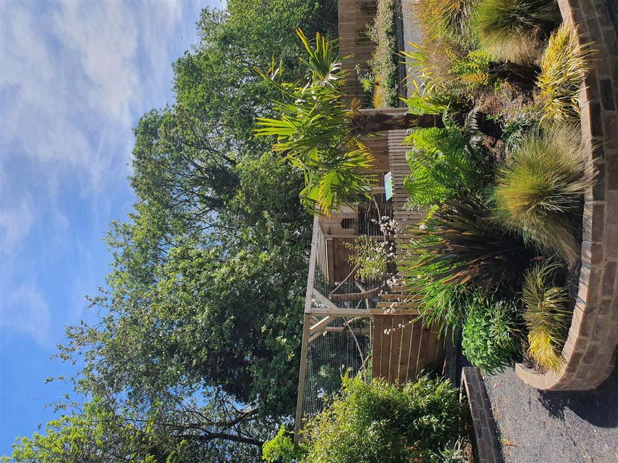 Clonfert Pet Farm | Great Visitor Experiences